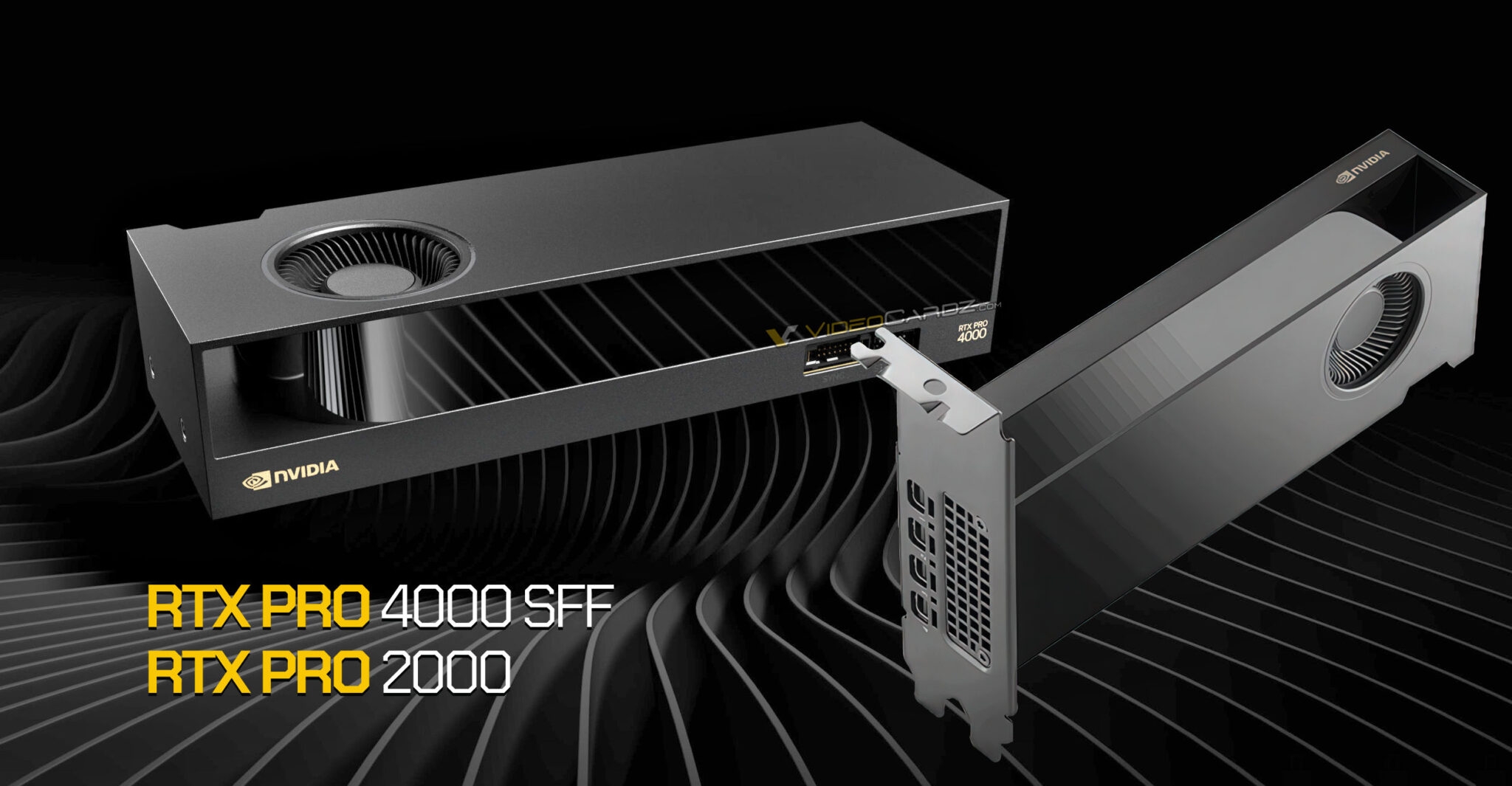 NVIDIA ha anunciado las RTX PRO 4000 SFF y 2000 Blackwell a 70 W - IG News
