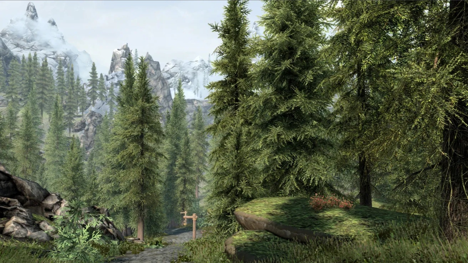 The Elder Scrolls VI aura plus d'arbres que Skyrim - IG News
