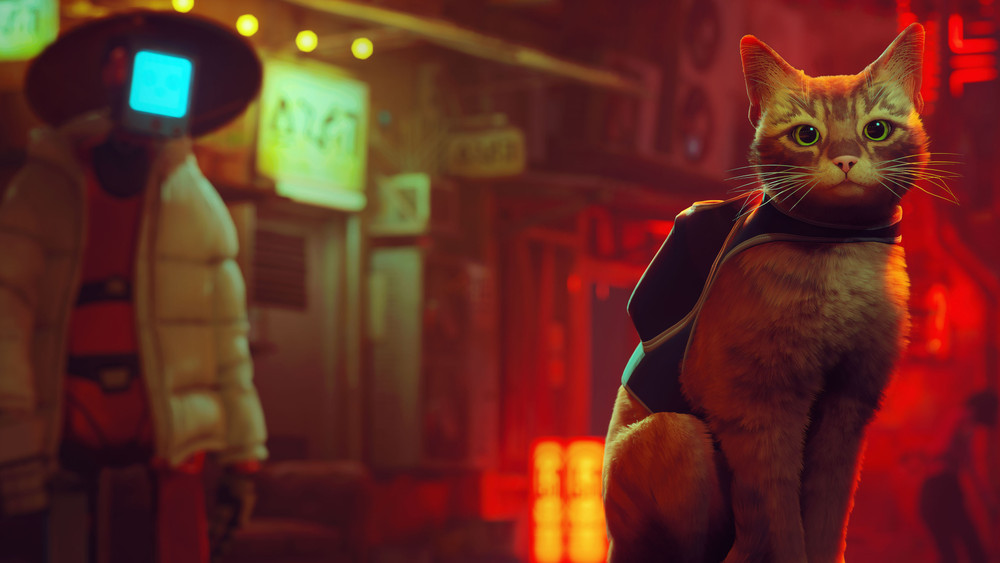 Stray, disponible el 10 de agosto en Xbox - IG News