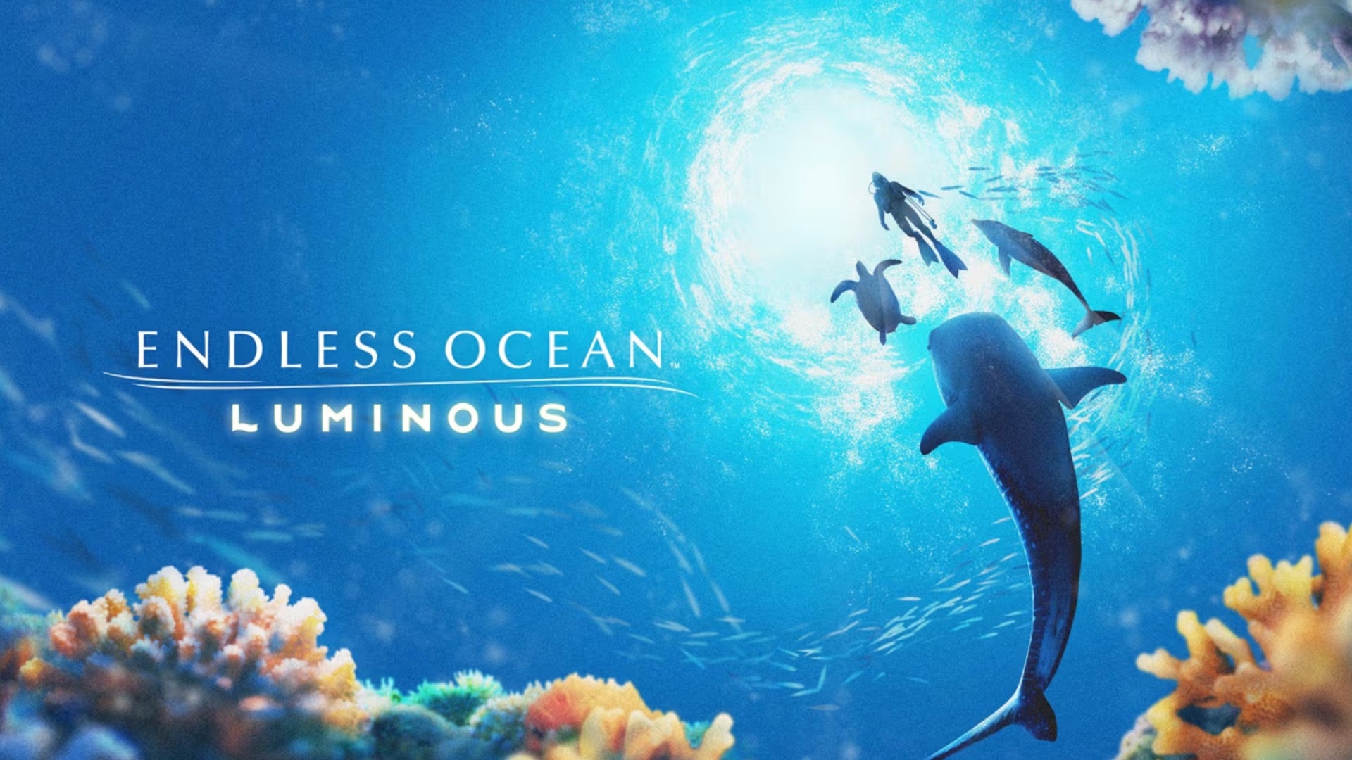 Endless Ocean Luminous nos sumerge en el fondo marino el 2 de mayo en Switch - IG News