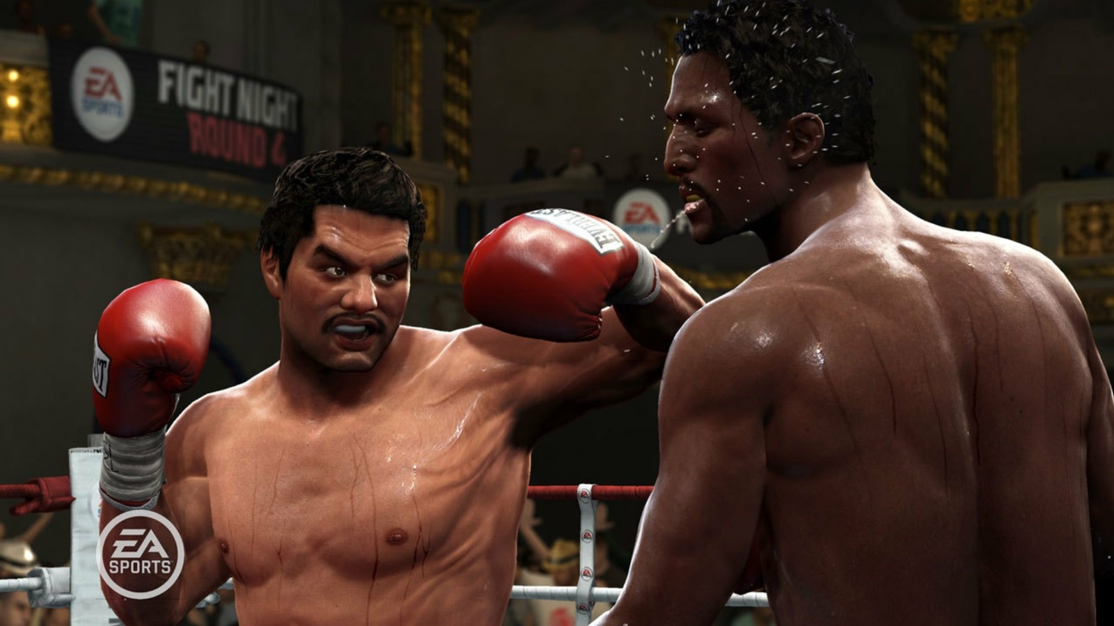 Este año podría anunciarse un nuevo Fight Night - IG News