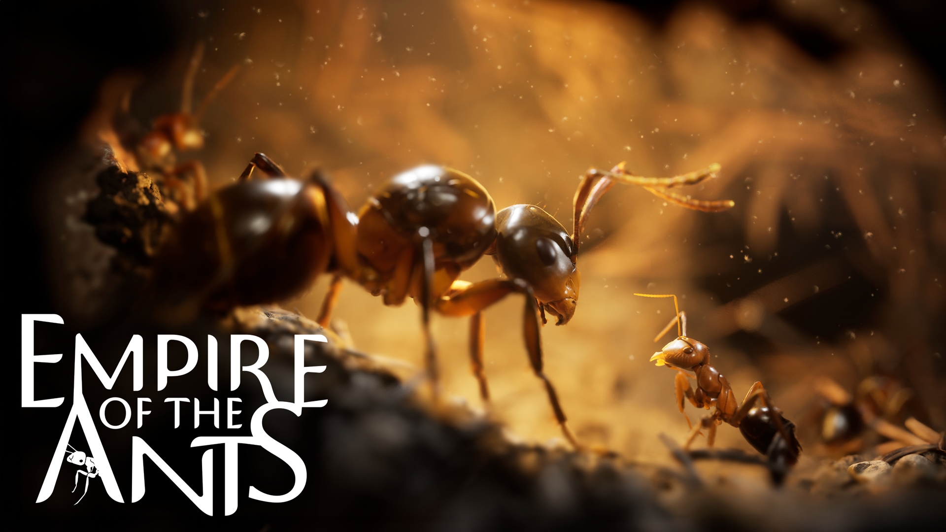Acheter Les Fourmis Steam