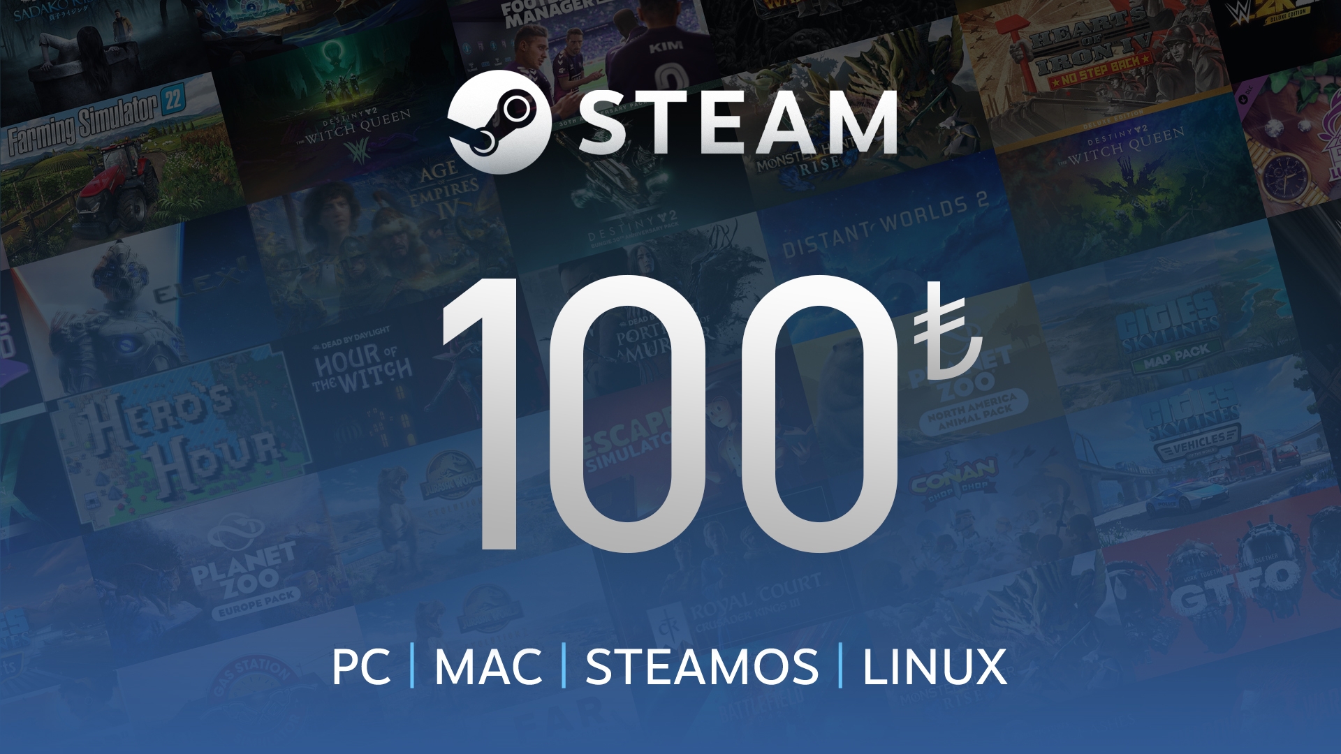 Koop Steam Gift Card 100 TRY - Turkey