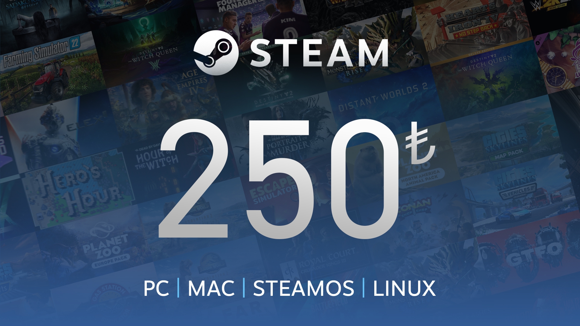 Buy Steam Gift Card 250 TRY Steam