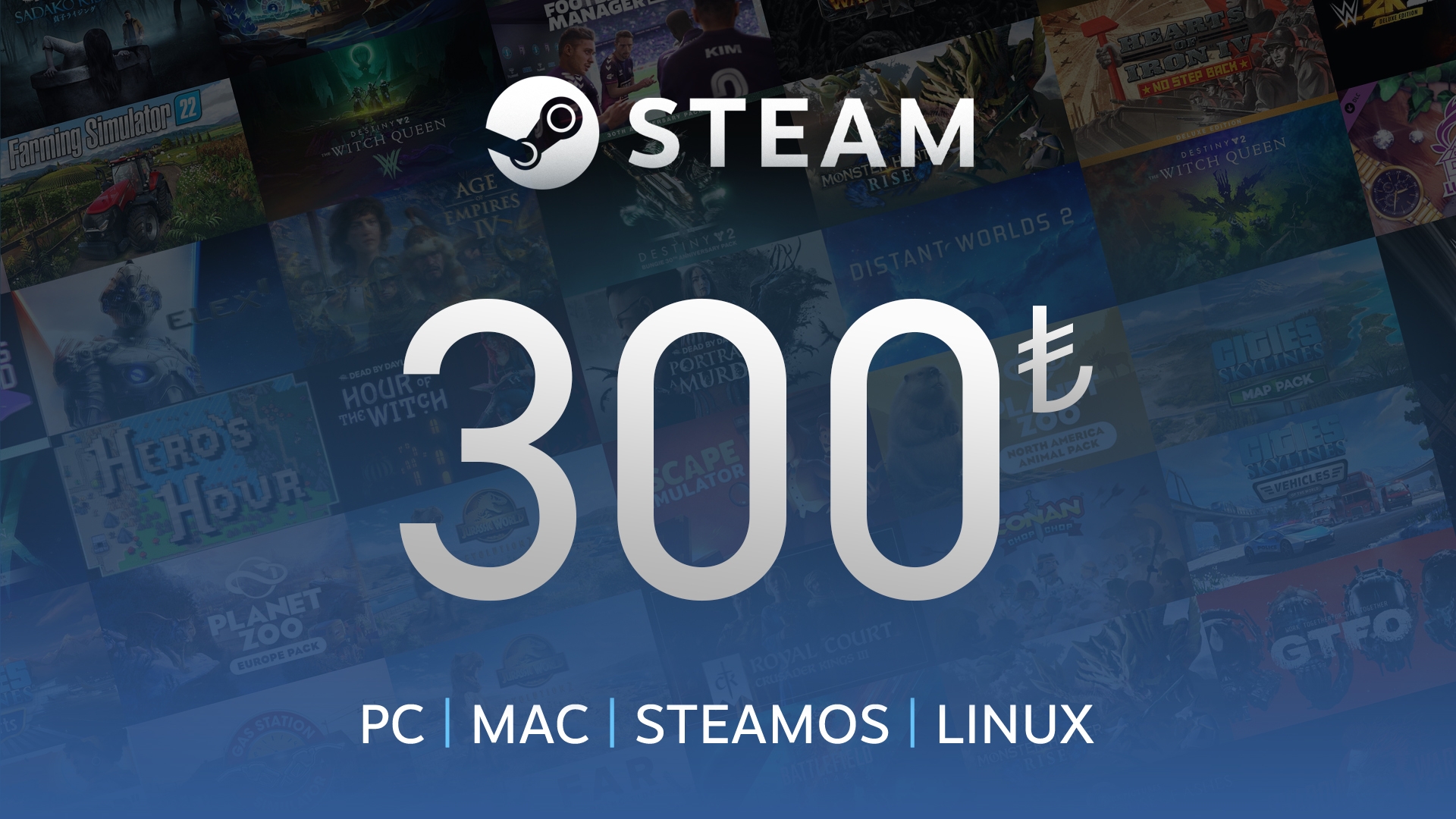 Comprar Steam Gift Card 300 TRY Steam