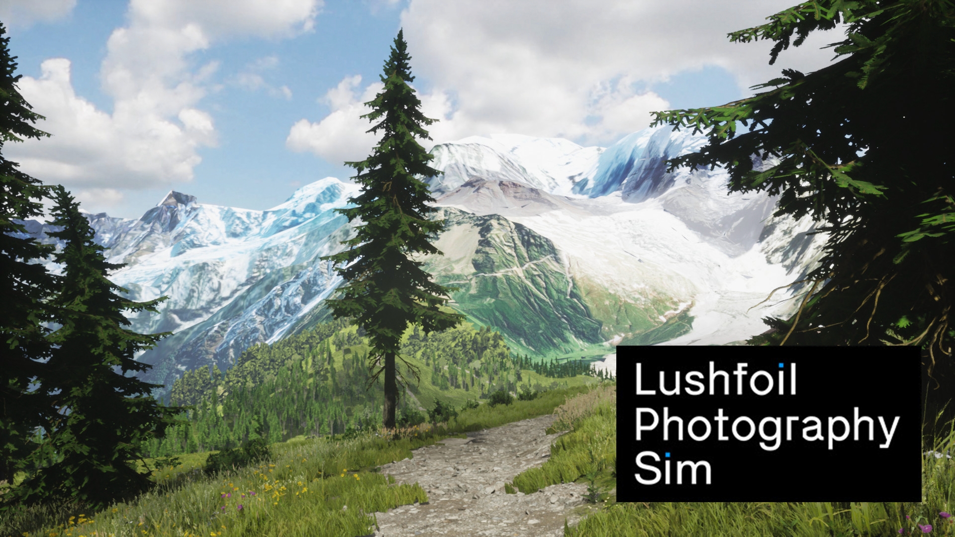 Buy Lushfoil Photography Sim Steam