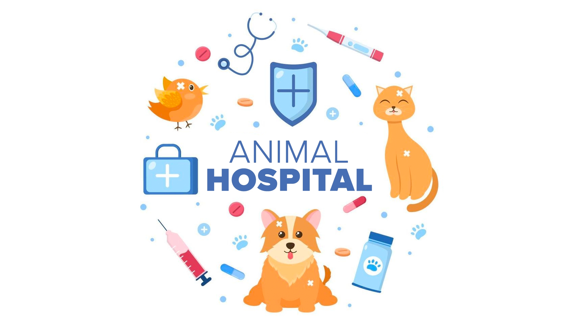 Koop Animal Hospital - Switch