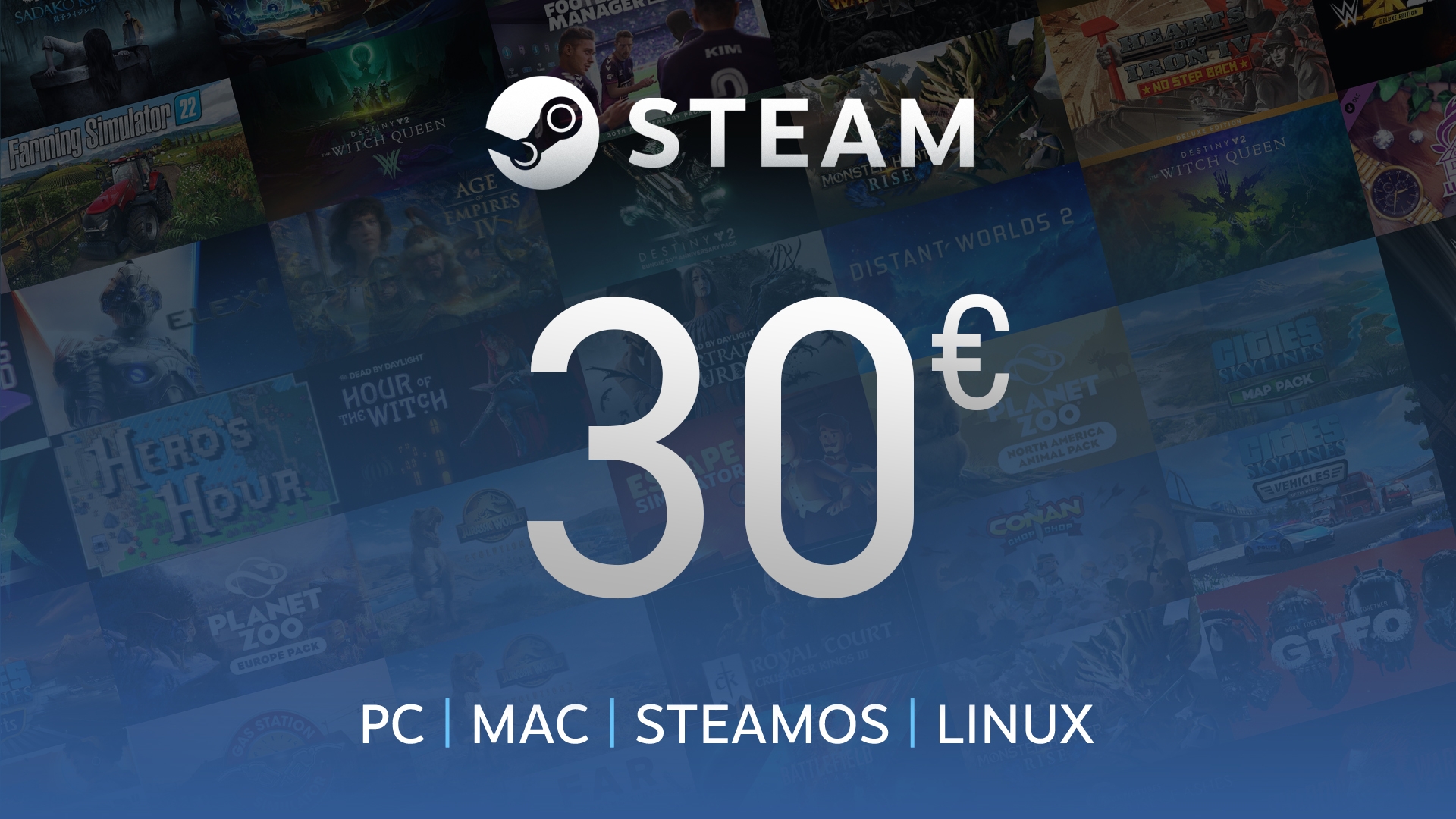 Comprar Steam Gift Card 30€ (Steam)