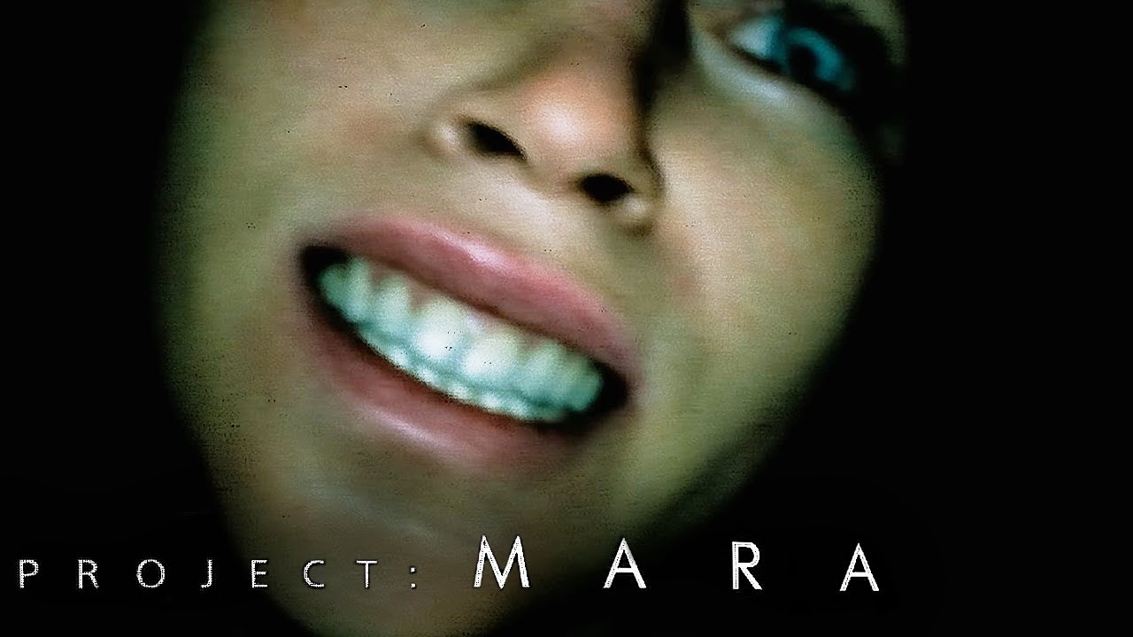 Buy Project: MARA - PC