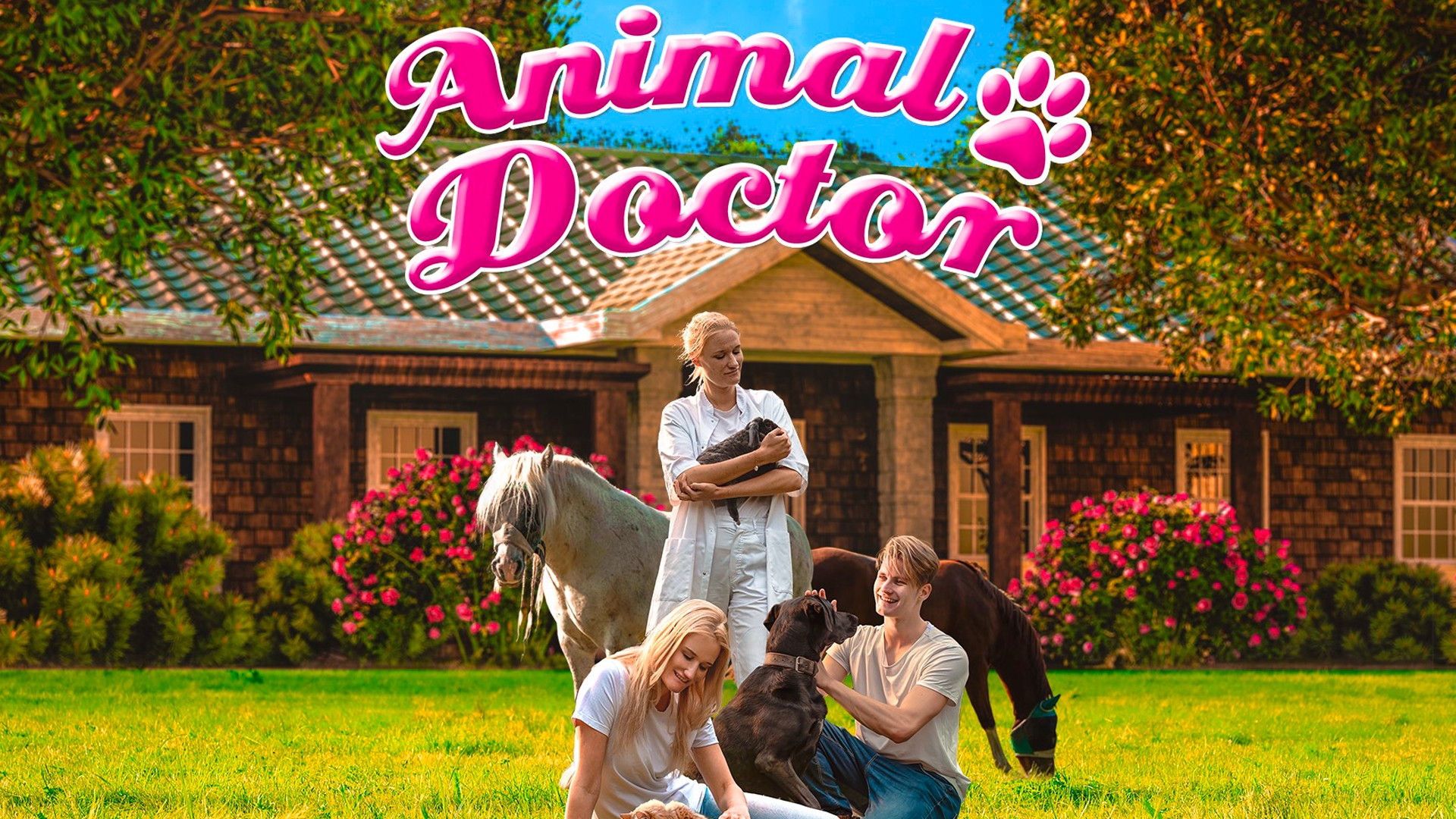Kaufe Animal Doctor - PC (Steam)